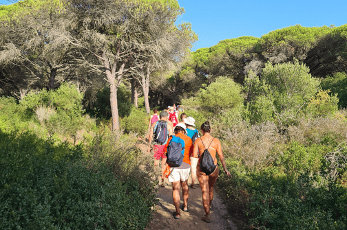 Vacaciones alternativas A Mi Manera | Actividades